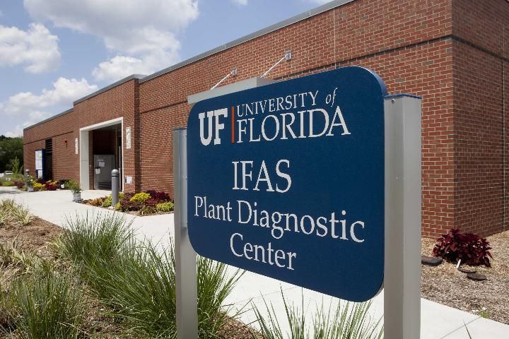 UF/IFAS Gulf Coast Research and Education Center Plant Pathology and ...